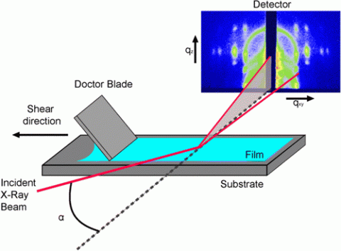 Secrets of membrane formation revealed | CHESS
